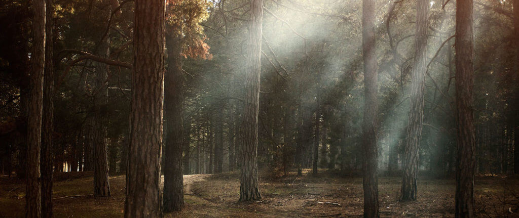 Helpful Verses - Wordless Groans